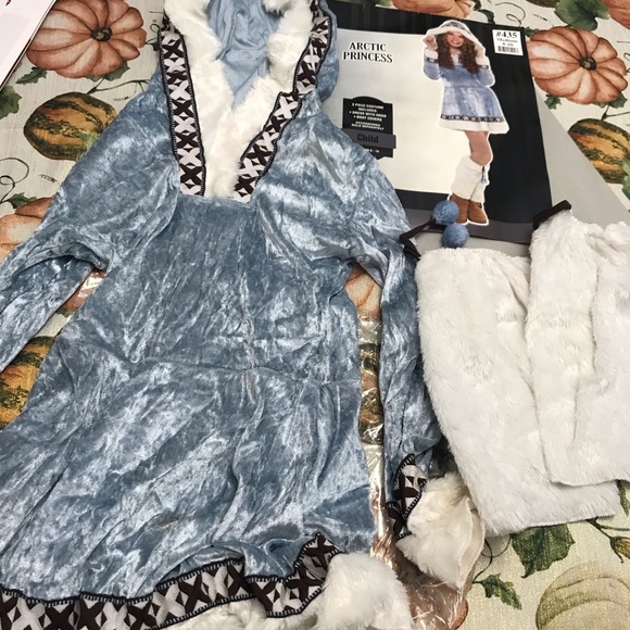 Costumes | Girls Arctic Princess Costume | Poshmark